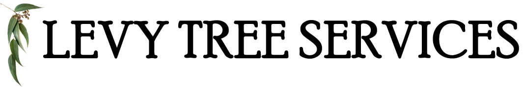 About Levy Tree Services - Levy Tree Services