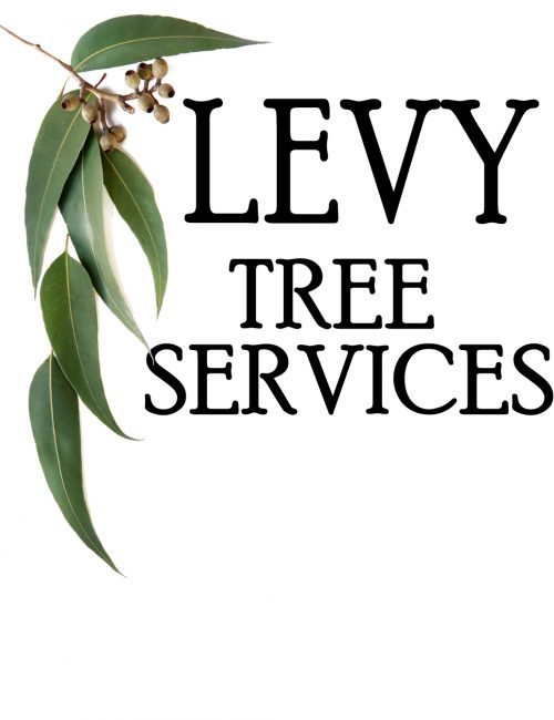 Contact - Levy Tree Services